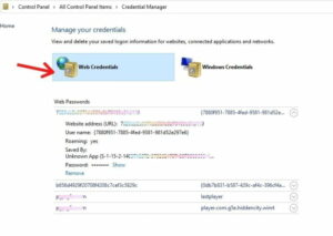 How To Find All Passwords Entered On My Computer WIndows 10.